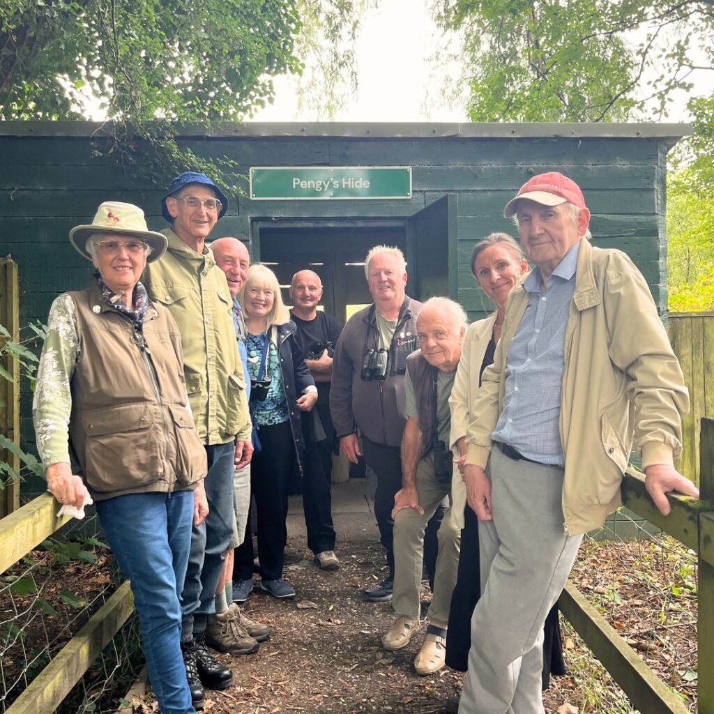 Pennington Flash | Be Well