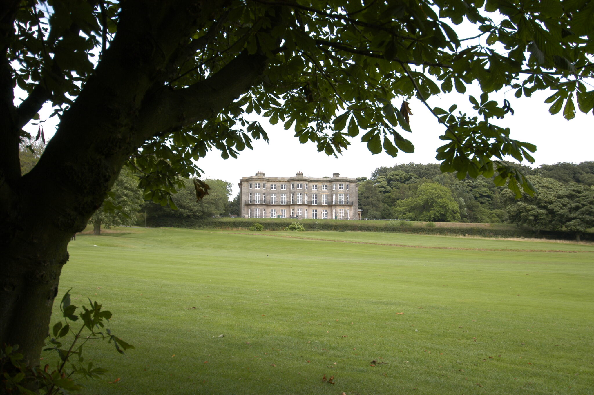 Golf at Haigh Woodland Park | Be Well
